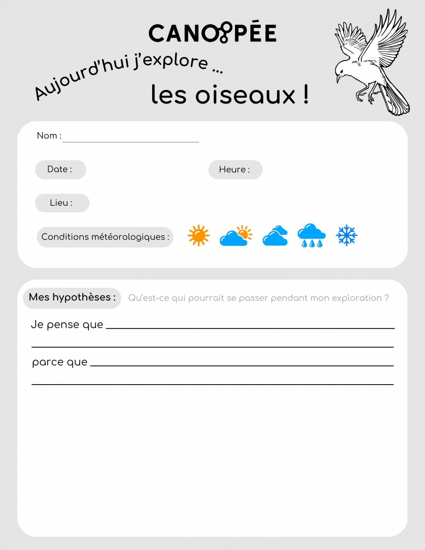 canopee - Activités scolaires